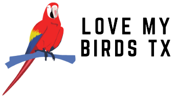 About Us – Love My Birds TX